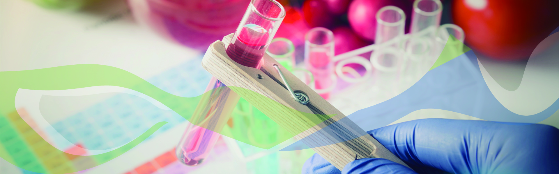 Bachelor of Science with Honours in Food Testing Science - Admissions